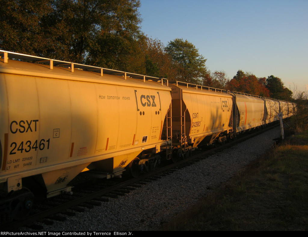 CSX Covered Hoppers 243461, 242983 & ETCX Covered Hopper 873